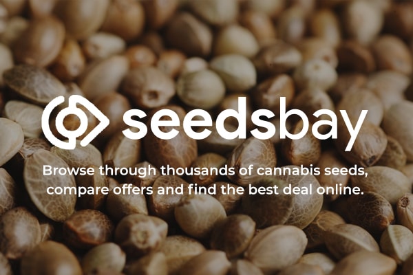 Bodhi Seeds - All cannabis seeds and offers by breeder Bodhi Seeds